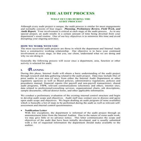 Ia audit process_lisd | PDF