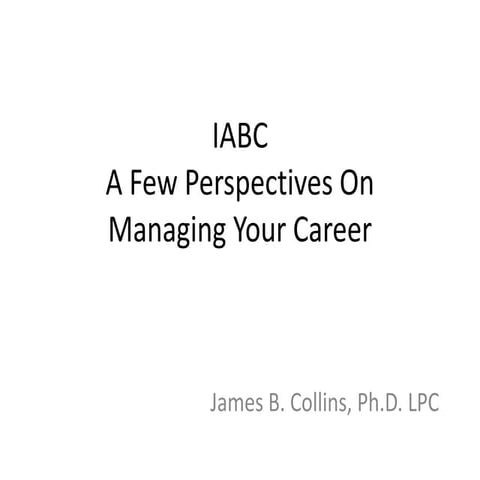 Professional Experience Slide Show | PPTX