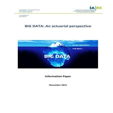 IABE Big Data information paper - An actuarial perspective | PDF