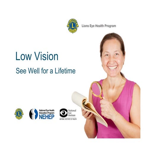 LEHP - Low Vision | PDF