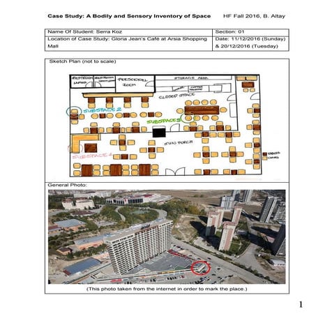 IAED 221 Case Study | PDF