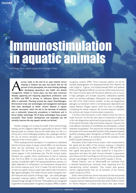 Immunostimulants role in aquaculture | PPTX