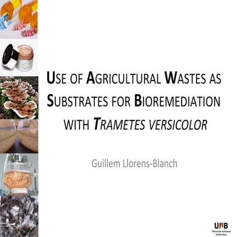 USE OF AGRICULTURAL WASTES AS SUBSTRATES FOR BIOREMEDIATION WITH ...