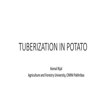 Tuberization in Potato | PPTX