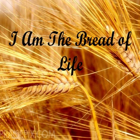 I Am The Bread Of Life: John 6:50-51 | PPT