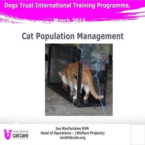 ITP March 2013 - Ian MacFarlaine - Cat Trap, Neuter, Release Programme ...