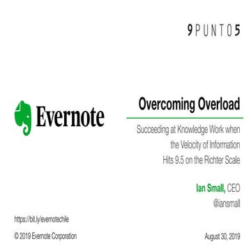 Ian Small - Overcoming overload | PDF