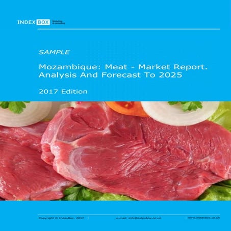 Mozambique: Meat - Market Report. Analysis And Forecast To 2025 | PDF