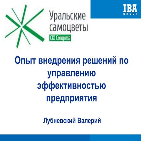 Iba Group, Лубневский "Опыт внедрения решений по управлению ...