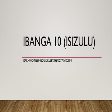 IZIGABA ZAMABIZO (1-4).pptx