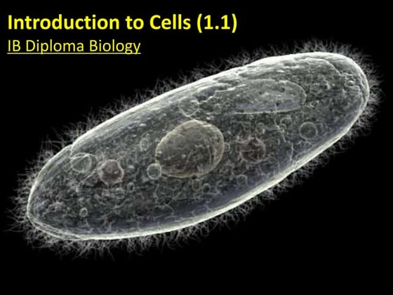 Introduction to cells | PDF