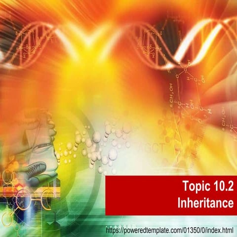 IB Bio Topic 10.2 Inheritance.pptx