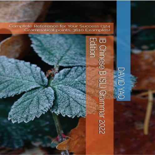 IB Chinese B (SL) Grammar 2022 Edition Sample.pdf