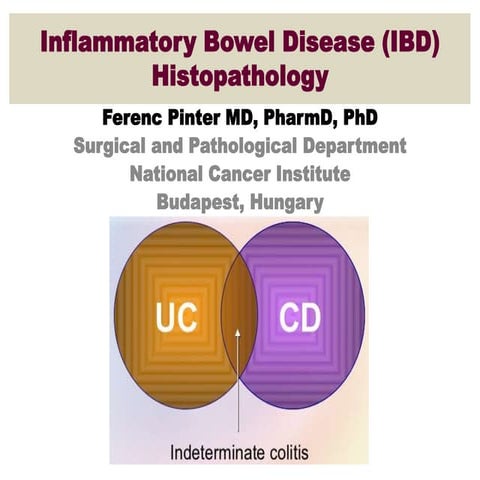 Inflammatory Bowel Disease (IBD) Histopathology | PPTX
