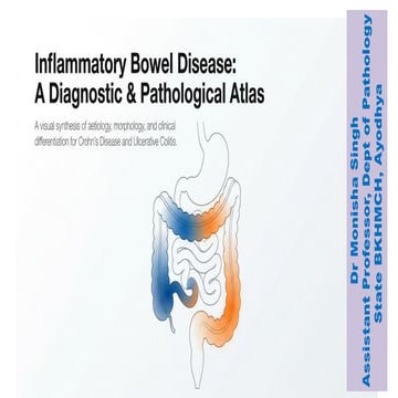 Inflammatory Bowel Disease (IBD): Crohn’s Disease and Ulcerative ...