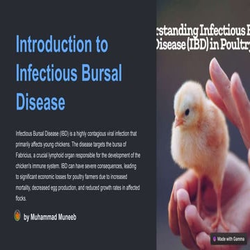 Infectious bursal disease ( gumboro ), IBD | PPTX