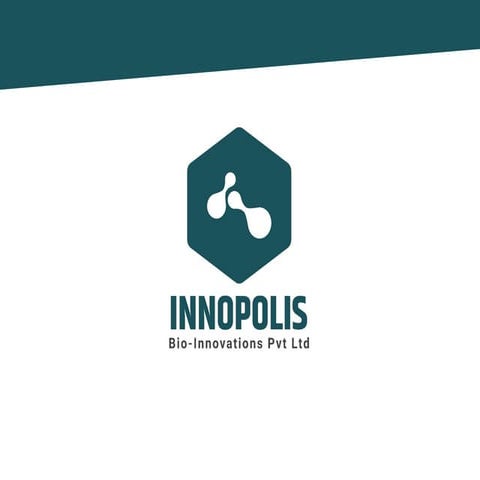 Spices Extraction | PDF