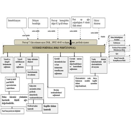 Bi̇r Olguya Kavram Haritası ile Hemşirelik Yaklaşımı