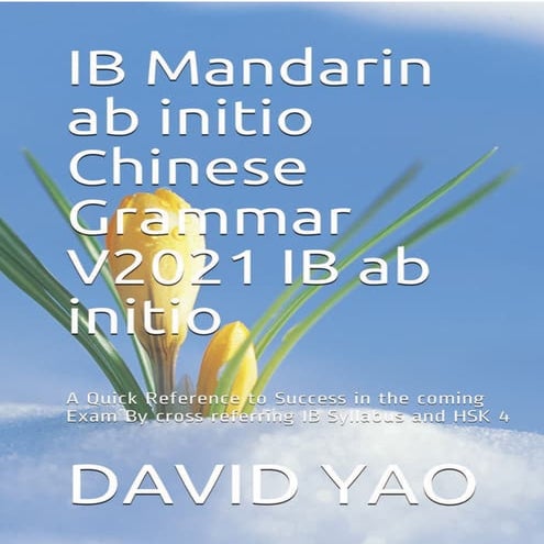 IB Mandarin ab initio Chinese Grammar V2021 IB ab initio 中文语法- A Quick ...