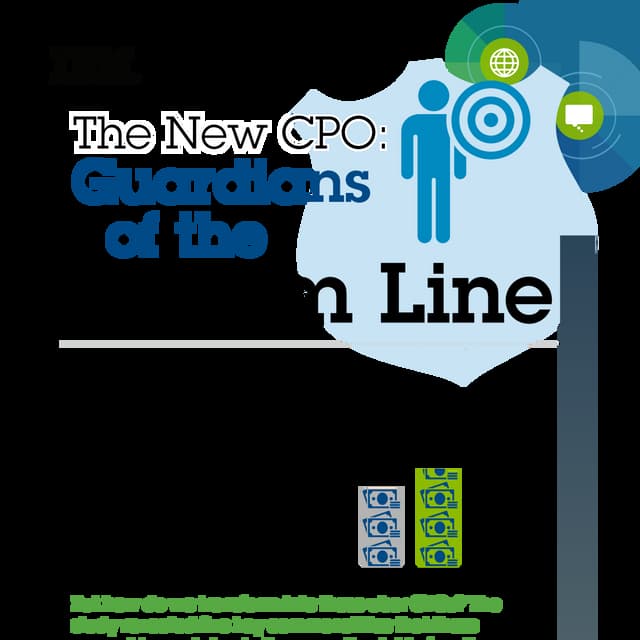 IBM cpo study infographic | PDF