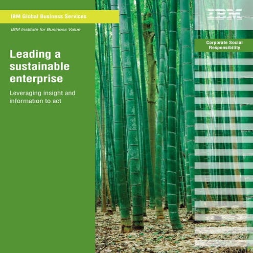 IBM Leading Sustainable Enterprise | PDF