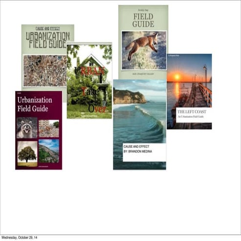 Ibooks Author urbanization student samples | PDF