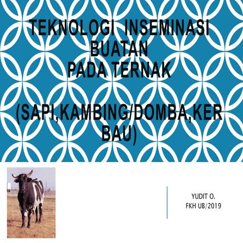 IB Pada Sapi, kambing domba kerbau.ppt