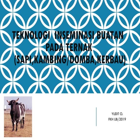 IB Pada Sapi, kambing domba kerbkkkau.ppt