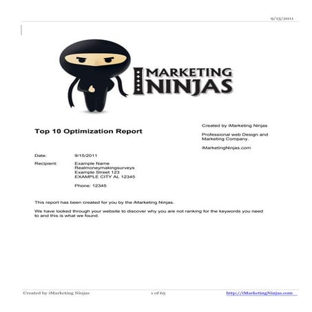 Optimization Report Pdf