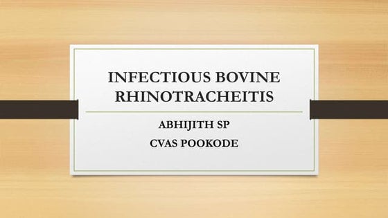 Infectious bovine rhinotracheitis | PPS