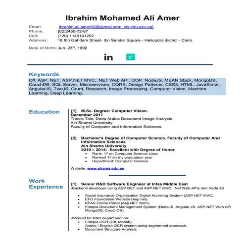 Ibrahim amer | PDF