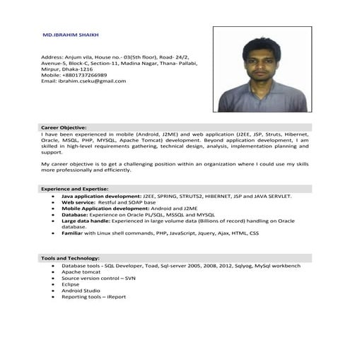 Ibrahim resume | PDF
