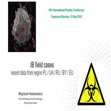 IB recent cases wh eng | PDF
