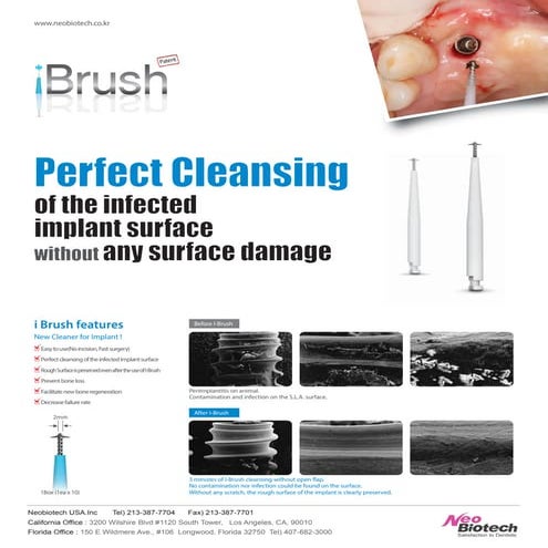 I brush r brush leaflet 2015 | PDF