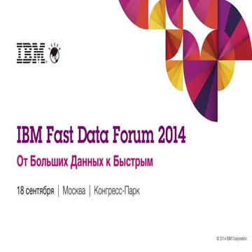 IBS at IBM Fast Data (Moscow, 2014) | PDF