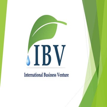 IBV Company Presentation | PDF