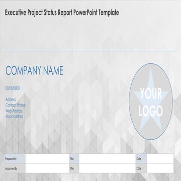 IC-Executive-Project-Status-Report-Presentation-10776_Powerpoint.pptx