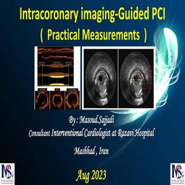 IC-Guided Practical Measurements.pdf