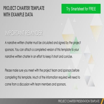 software application project implementation project charter | PPT