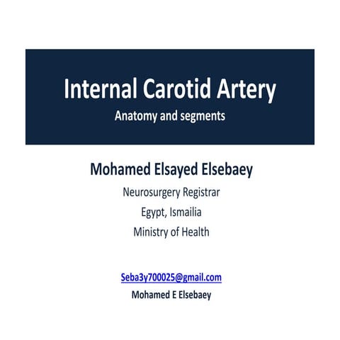 Segments of internal carotid artery | PPTX