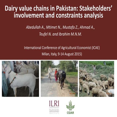 Dairy value chains in Pakistan: Stakeholders’ involvement and ...