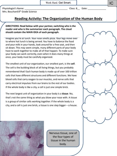 407884076-Levels-of-Organization-Lesson-Plan-docx.docx