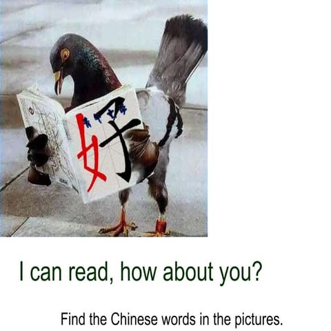 I can read, how about you | PPT