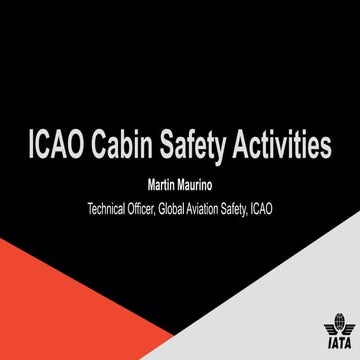 icao cabin safety activities | PDF