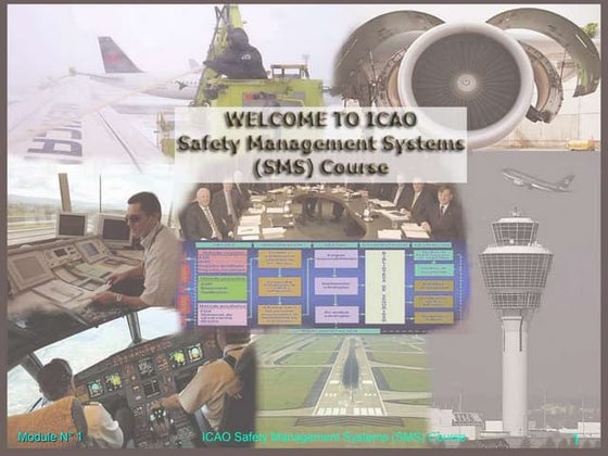 IMPLEMENTATION AND CHALLENGES OF THE ICAO SAFETY MANAGEMENT SYSTEM IN ...