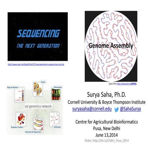 Sequencing, Genome Assembly and the SGN Platform | PDF