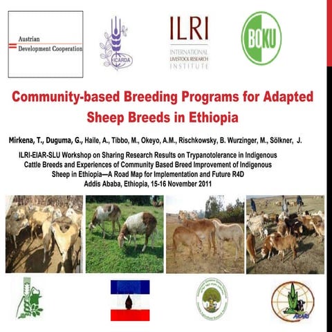 Community-based breeding programs for adapted sheep breeds in Ethiopia ...