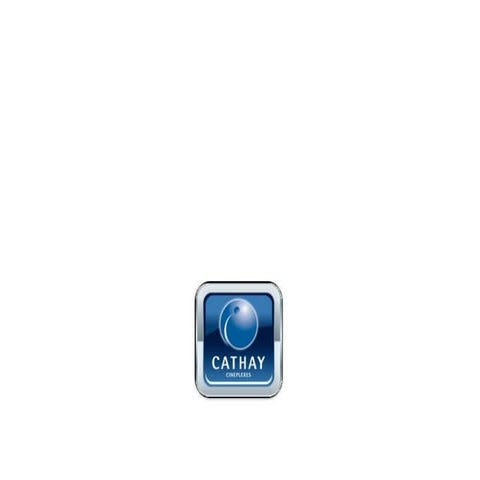 I cathay | PPTX | Computing | Technology & Computing