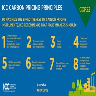 ICC Carbon Pricing Principles | PDF