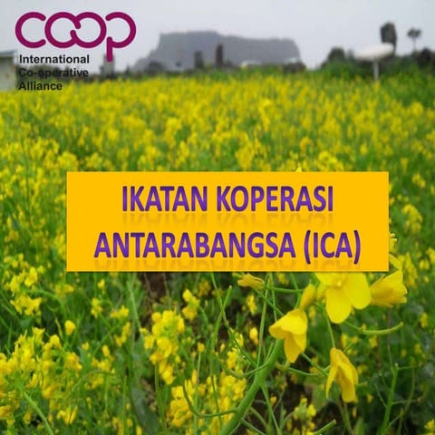 ICA Ikatan koperasi antarabangsa | PPT